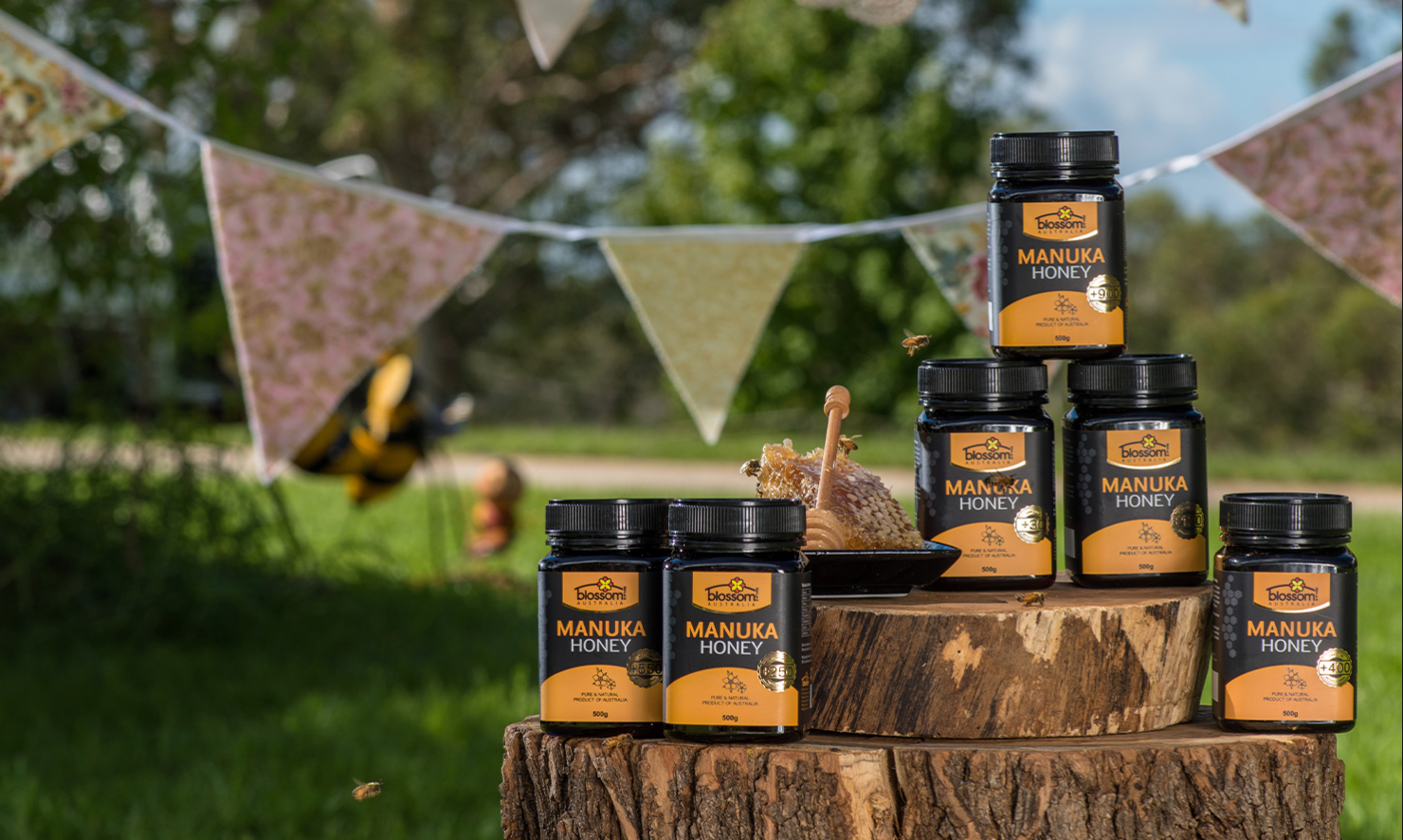 Manuka Honey MGO 30+ – Blossom Health